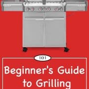 Beginner's Guide to Grilling on a Gas Grill | 101 Cooking For Two