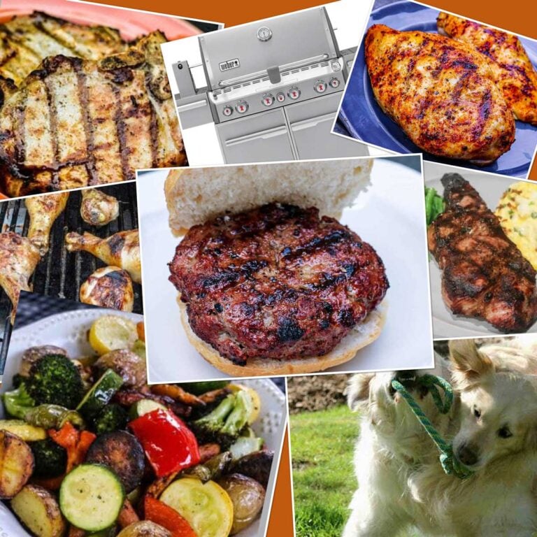 17 Basic Gas Grill Recipes For Summer - 101 Cooking For Two